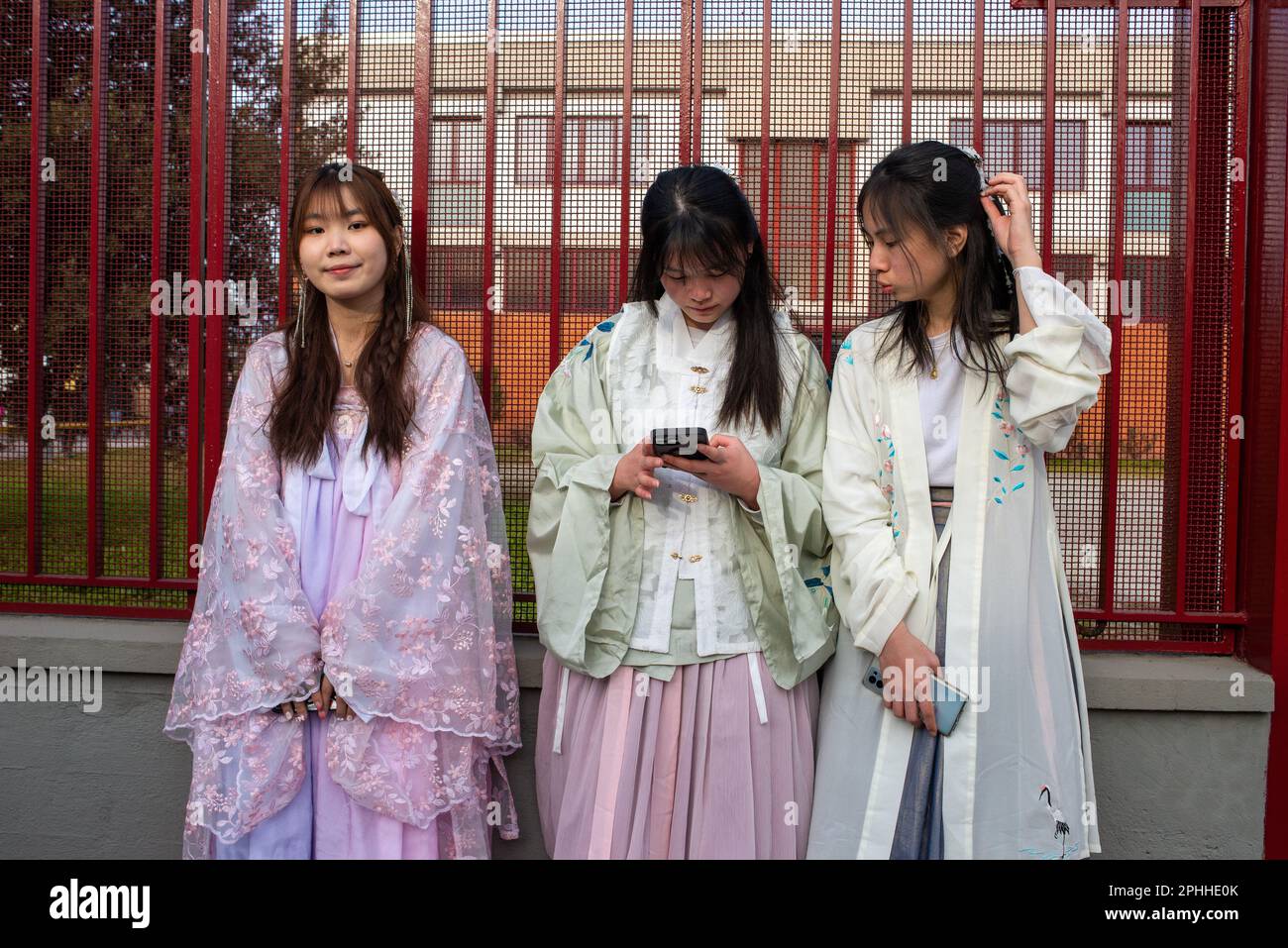 Celebrations for the Chinese New Year in Prato of one of the largest ...