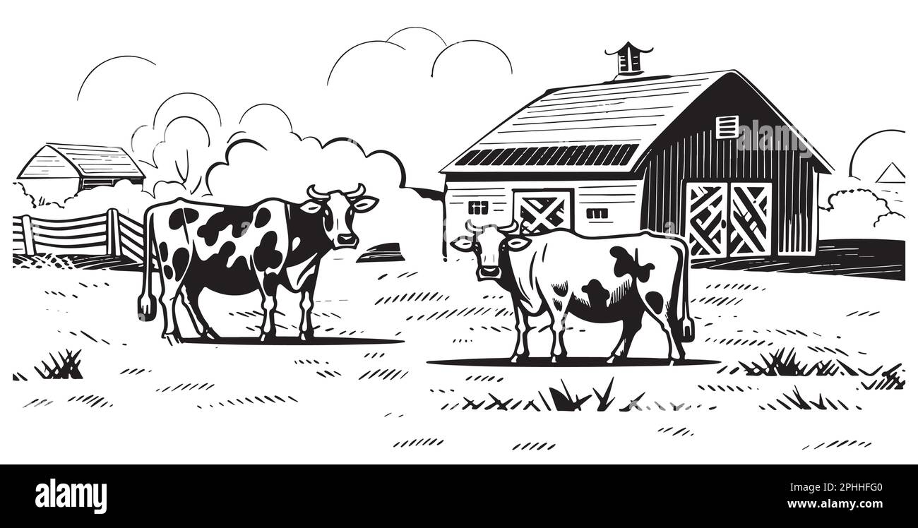 Cows grazing in the field on the background of the farm hand drawn ...