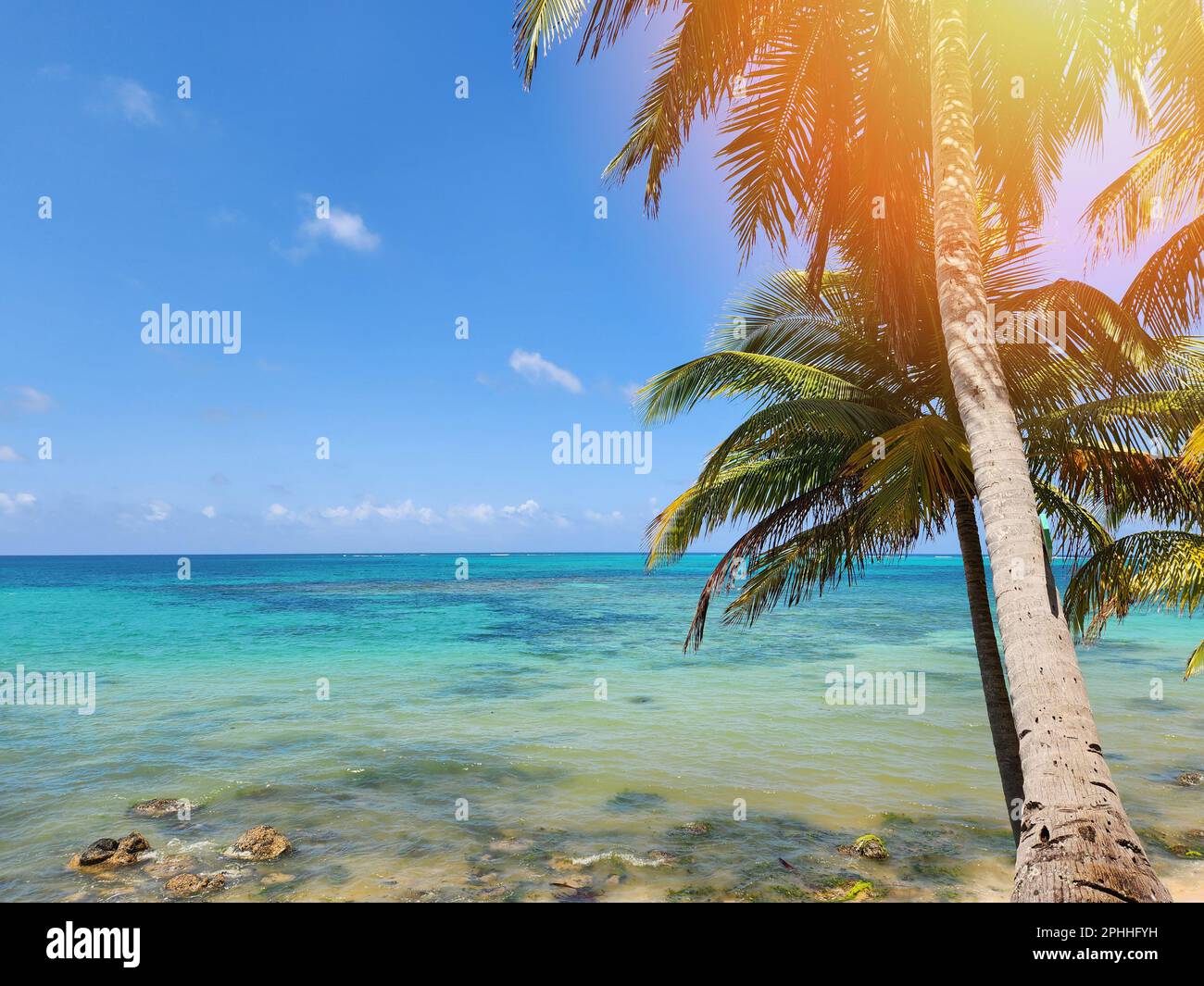 Blue sea water on palm beach background on bright sunny day Stock Photo ...