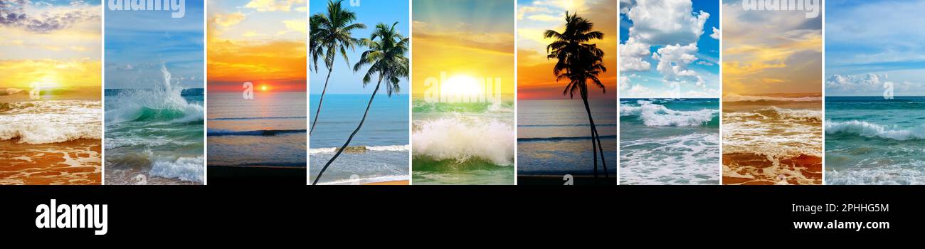 Photo collage tropical beach palm hi-res stock photography and images ...