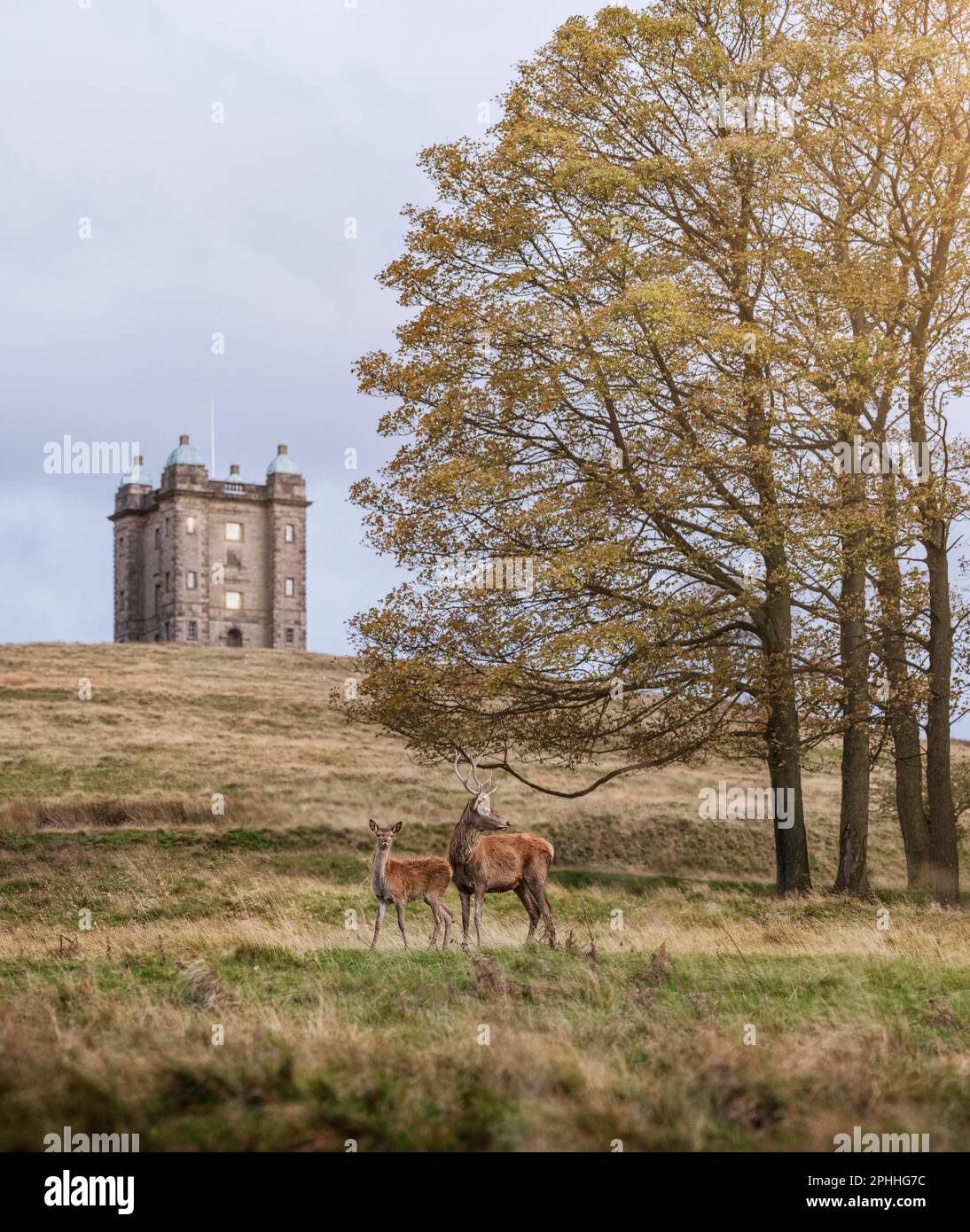 Cage hunting lodge hi-res stock photography and images - Alamy