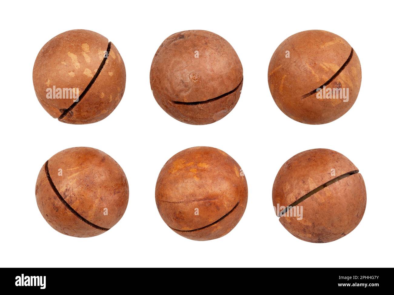 macadamia nut path isolated on white Stock Photo - Alamy