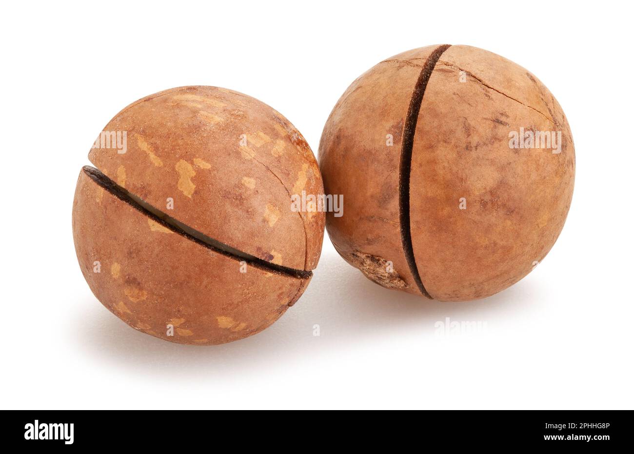 macadamia nut path isolated on white Stock Photo - Alamy