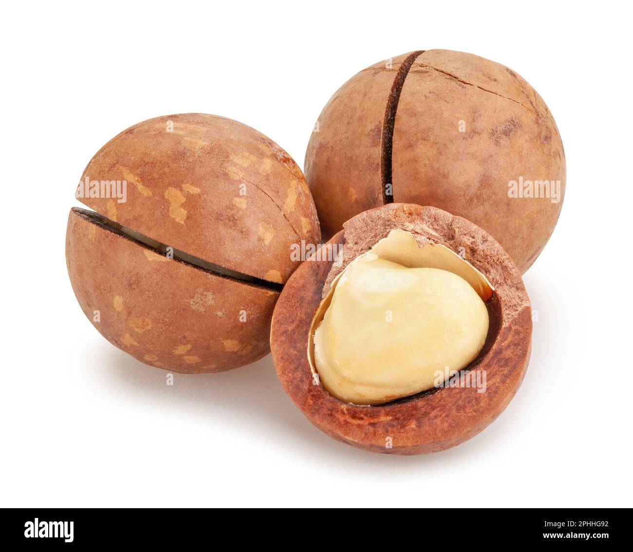 macadamia nut path isolated on white Stock Photo - Alamy