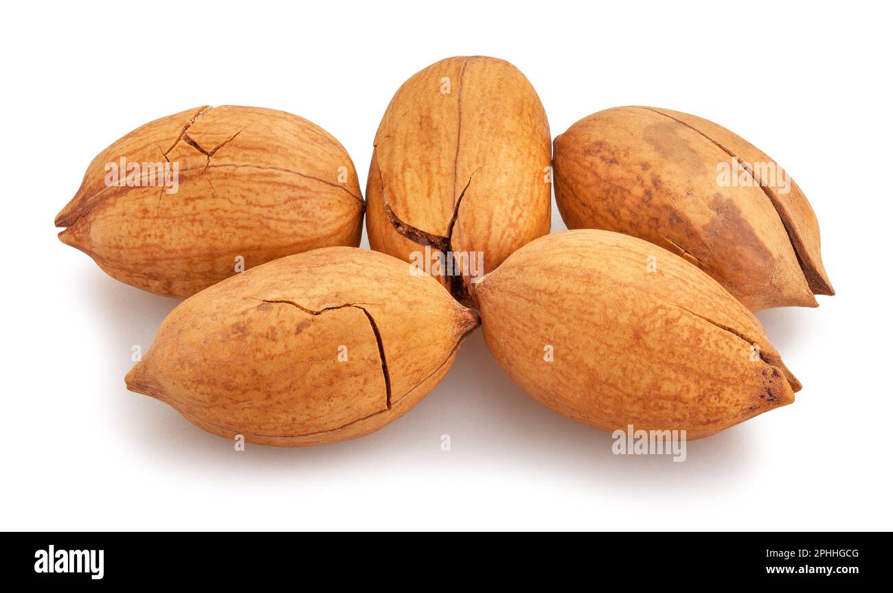 pecan nuts path isolated on white Stock Photo - Alamy