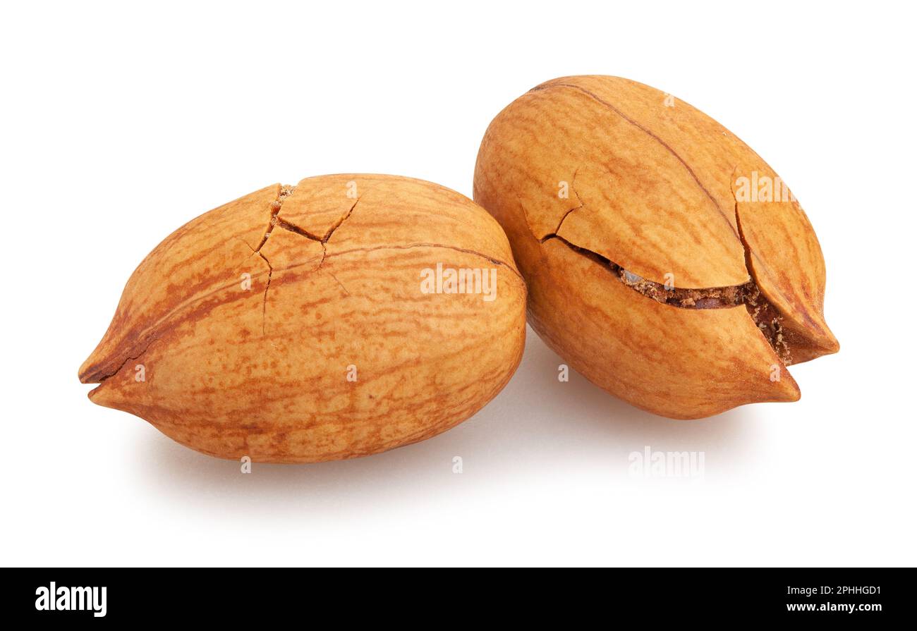 pecan nuts path isolated on white Stock Photo - Alamy