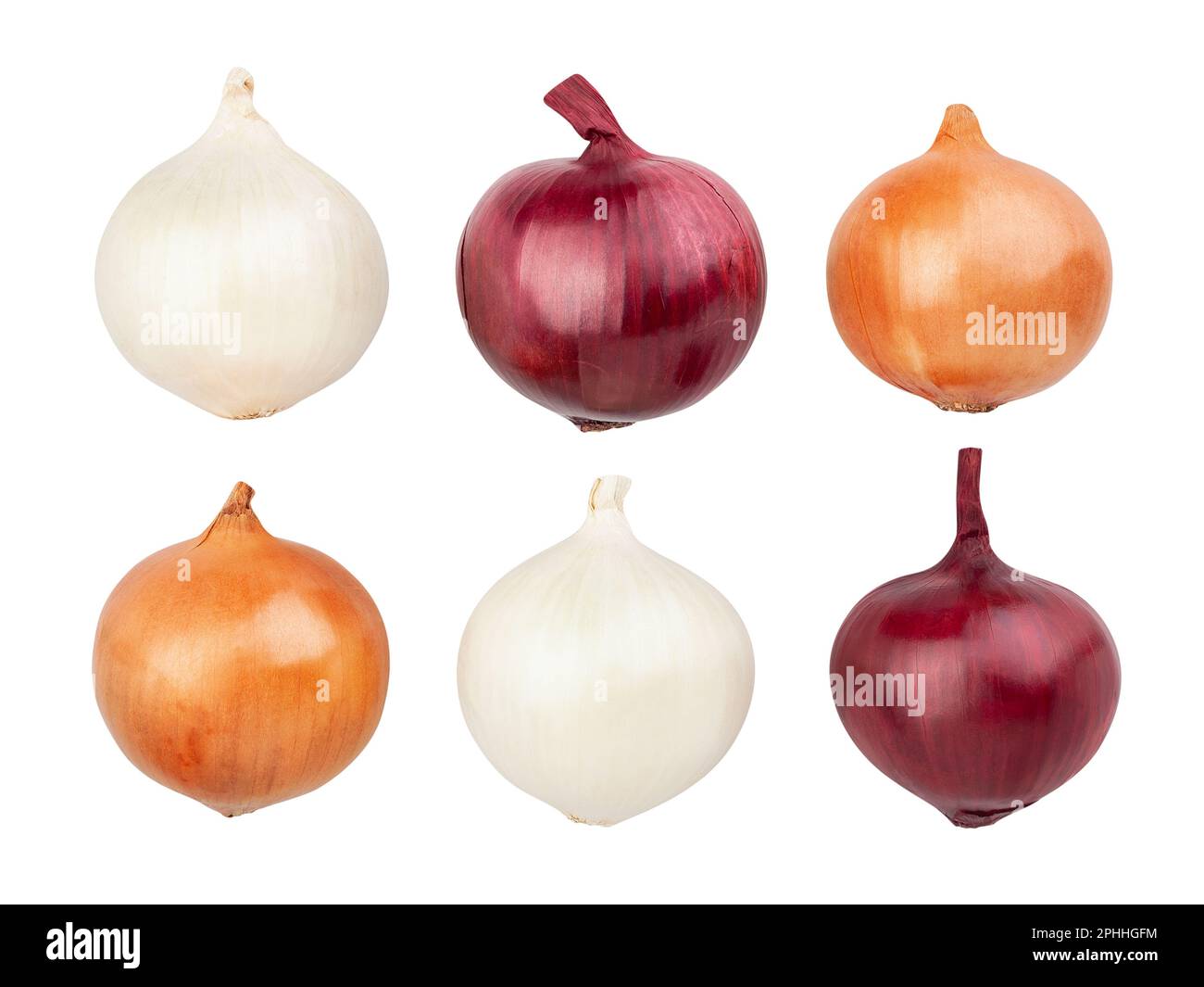 colorful onions path isolated on white Stock Photo - Alamy
