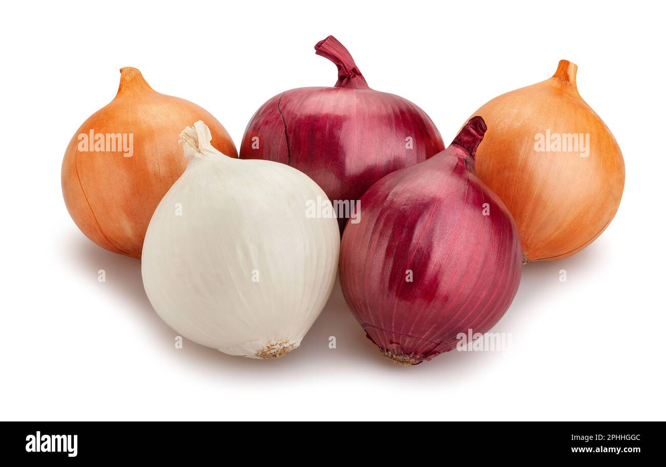 colorful onions path isolated on white Stock Photo - Alamy