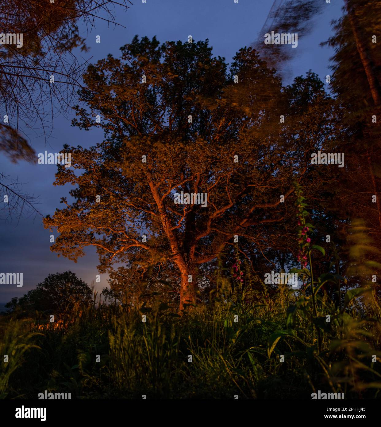 Firelight in the night sky hi-res stock photography and images - Alamy