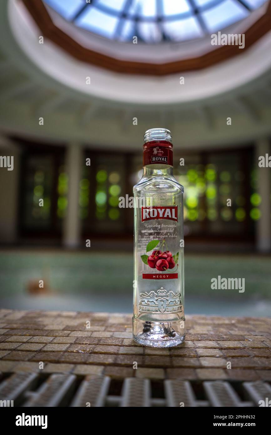 Empty Royal Vodka bottle with dead insects inside in an abandoned spa ...