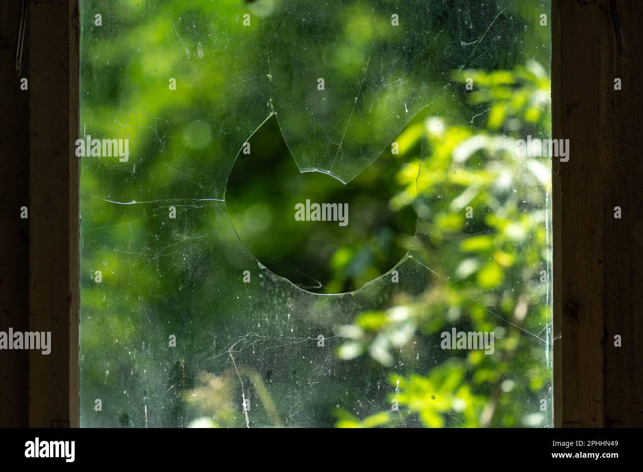 Smashed window with a cat head shaped fracture in front of a forest ...