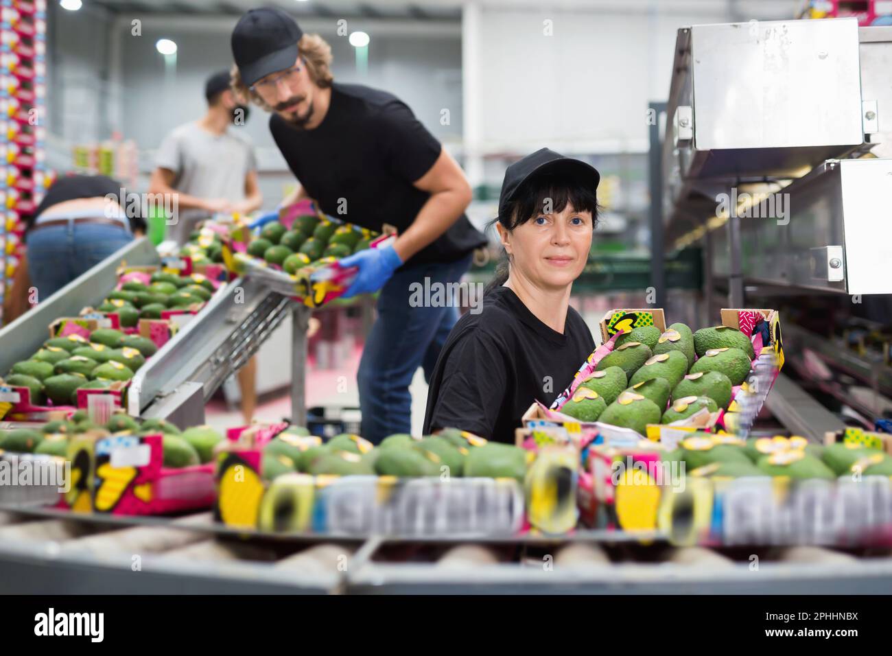 Young women and man in uniform packing mango to crates at factory ...