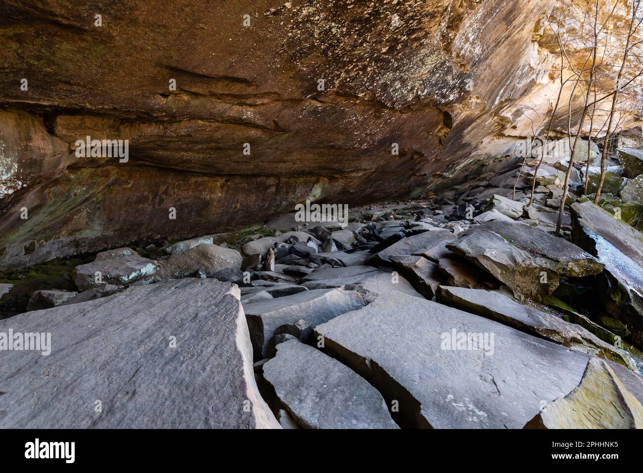 Landscape on the Devil’s Standtable Nature Trail in Giant City State ...