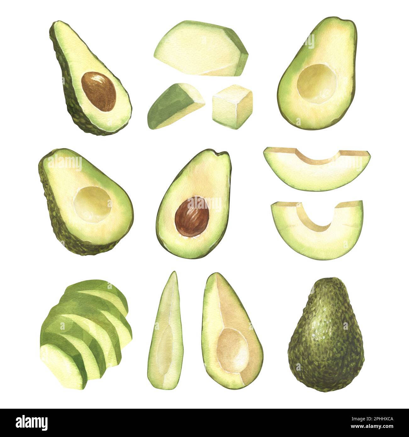 Watercolor set of fresh whole and sliced avocado. Hand-drawn ...