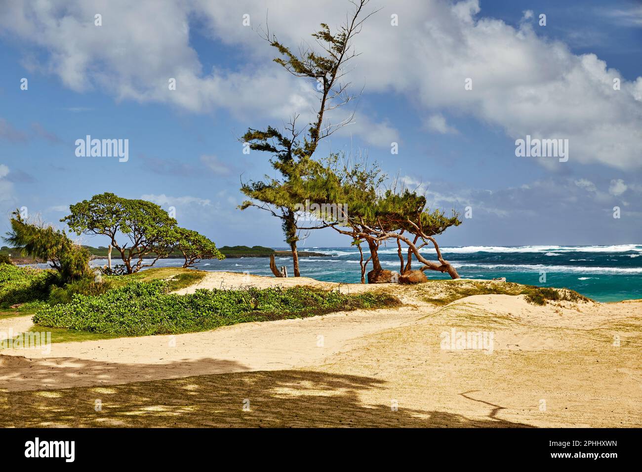 Beautiful Tropical Beach Park with Trees Stock Photo - Alamy