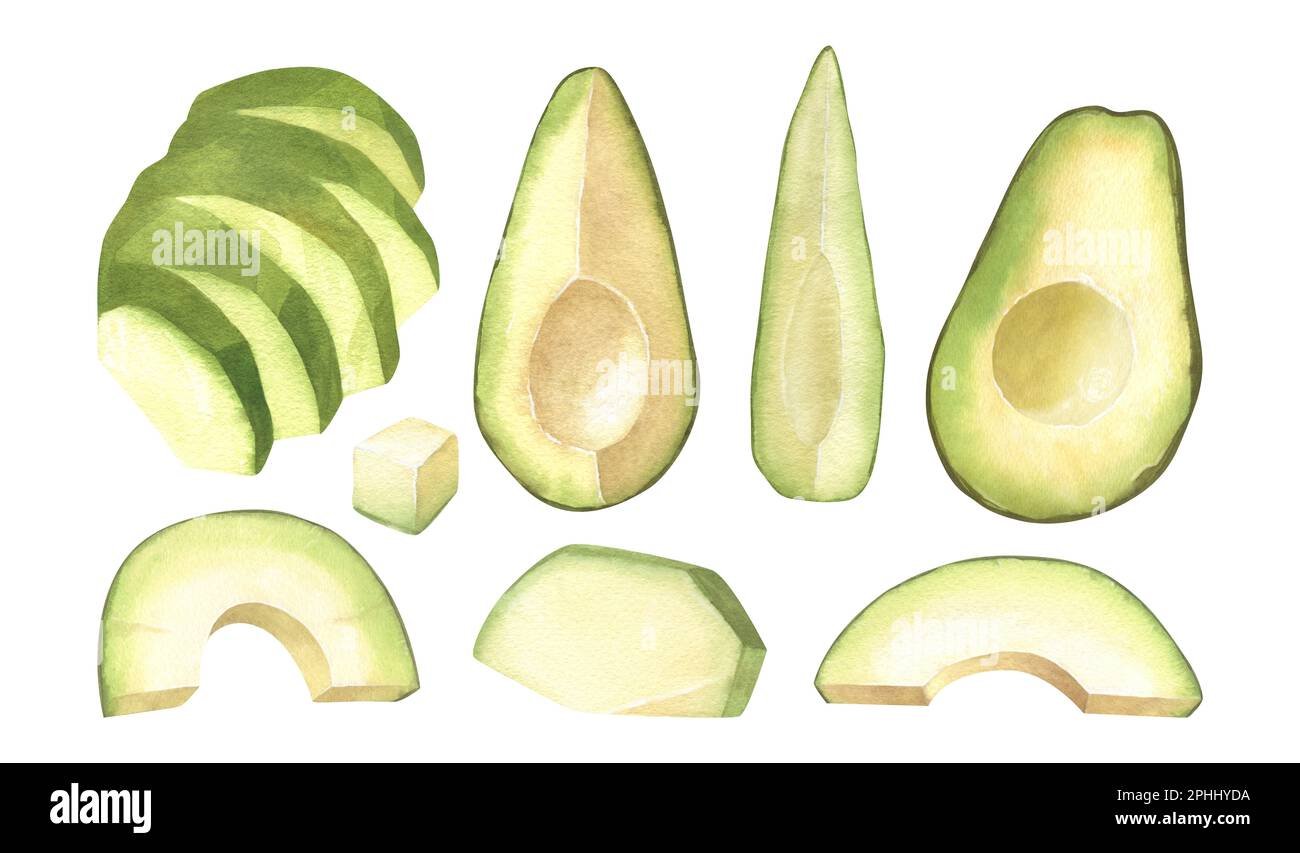 Watercolor ripe avocado sliced pieces. Hand-drawn illustration isolated ...