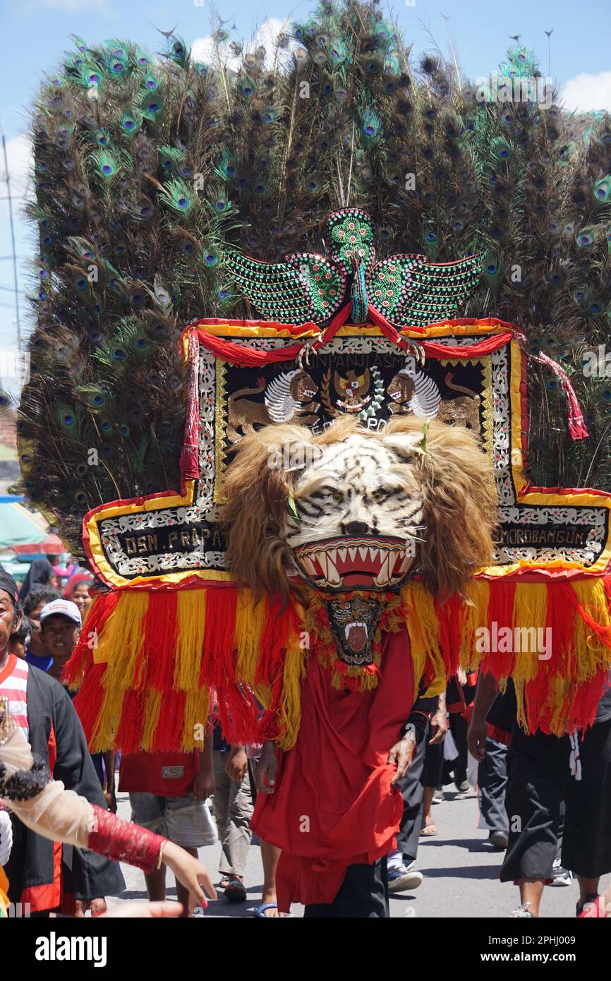 Javanese performing reog dance. Reog is a traditional dance that become ...