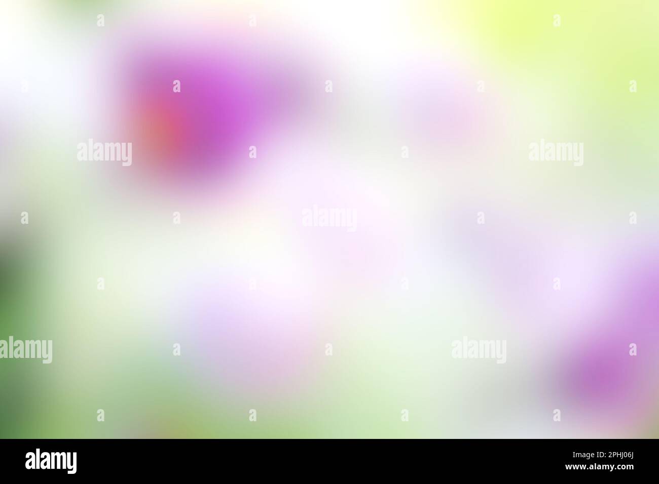 Abstract defocus gradient color background in purple with green spring ...