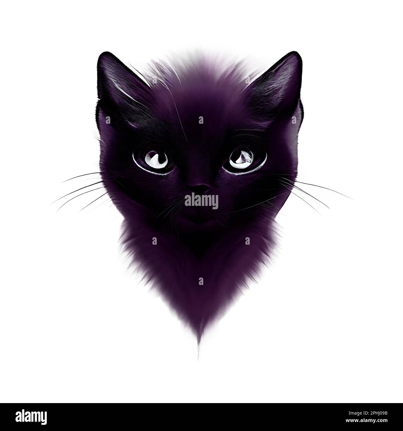 Square cat wall digital printable art Stock Photo - Alamy