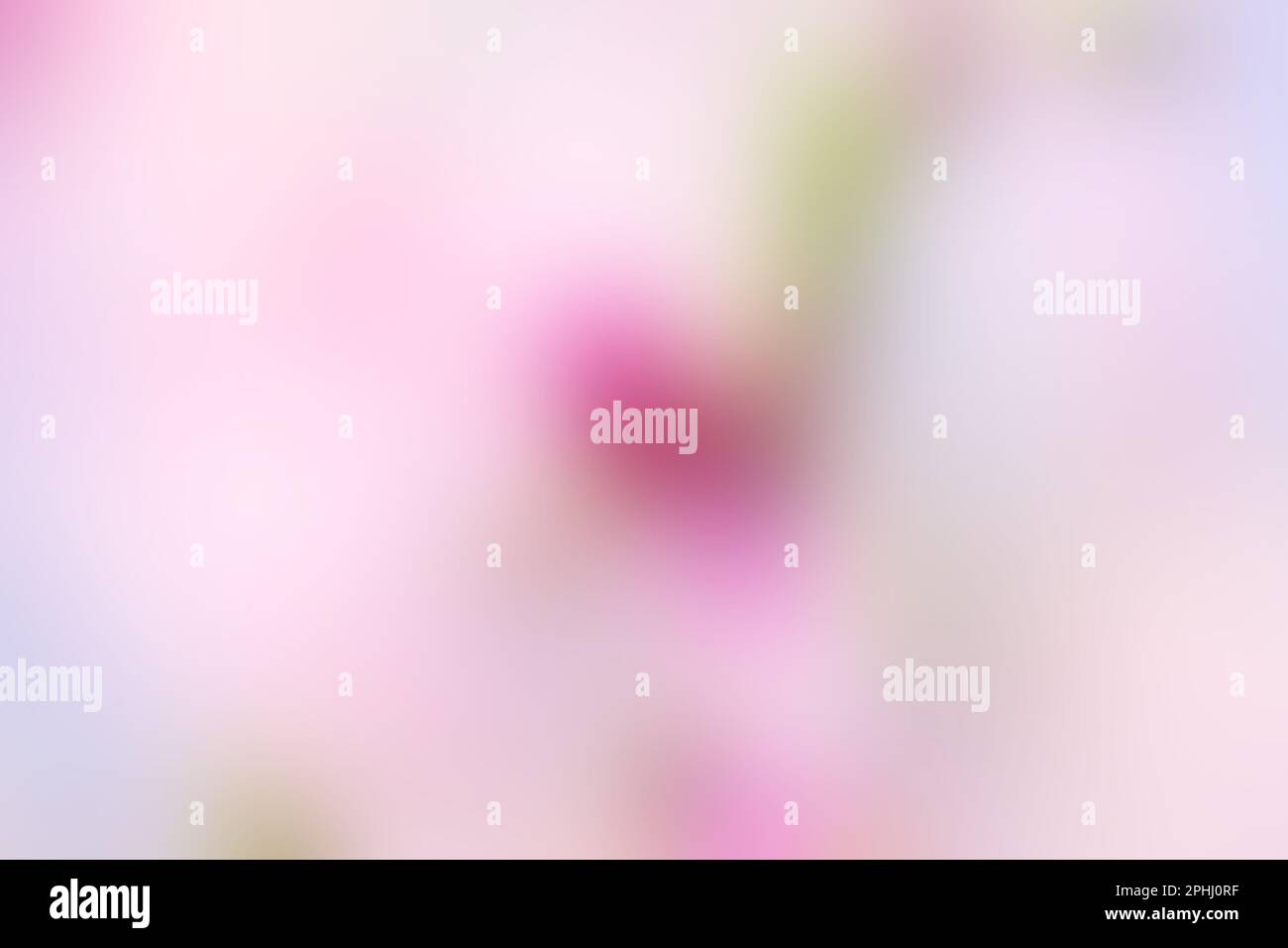 Abstract defocus gradient color background in pink and white spring ...