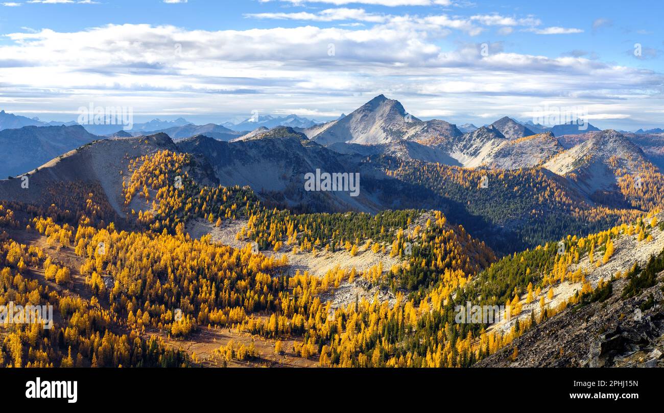 Sunset Illuminates Golden Larches, Mountain Summits, and an Alpine Lake ...