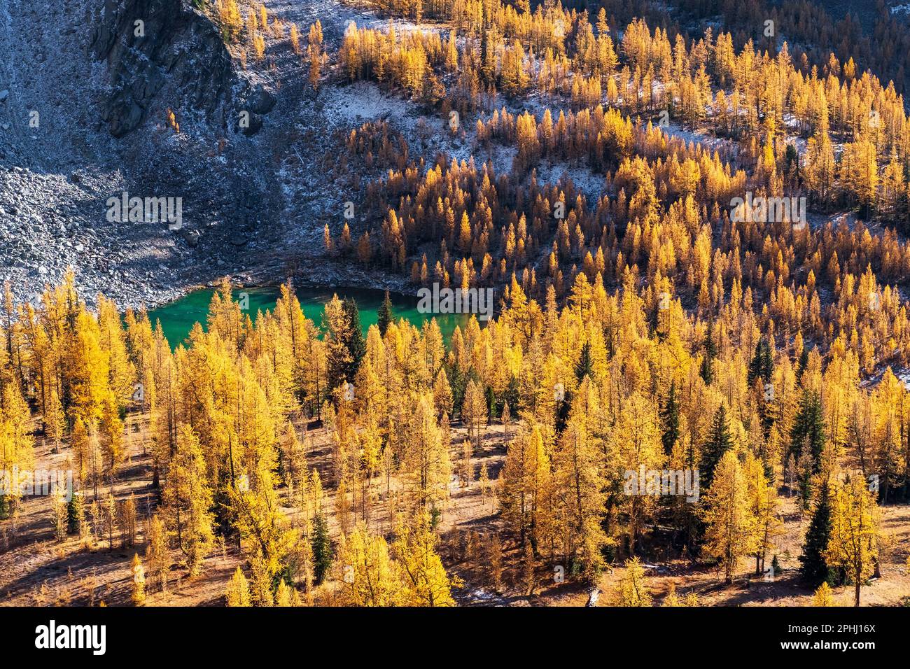 Sunrise Illuminates Golden Larches around an Alpine Lake in the Chelan ...