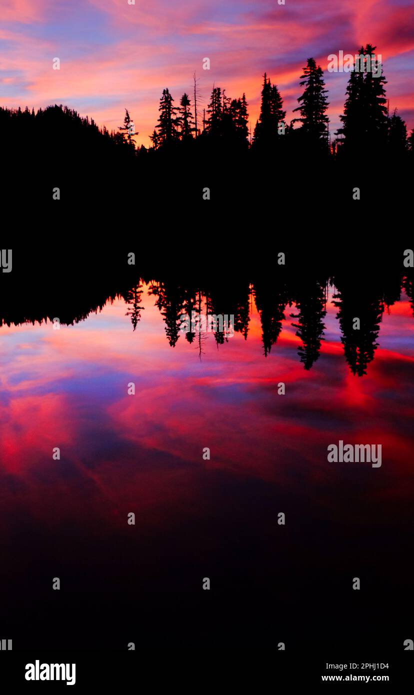 Pink and Blue Sunset and Trees Reflected in Alpine Lake. Olympic ...