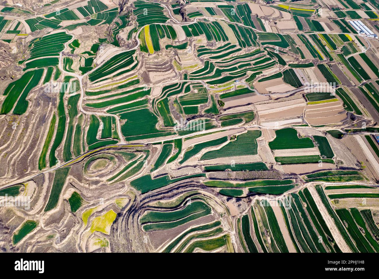 Loess plateau terrace hi-res stock photography and images - Alamy