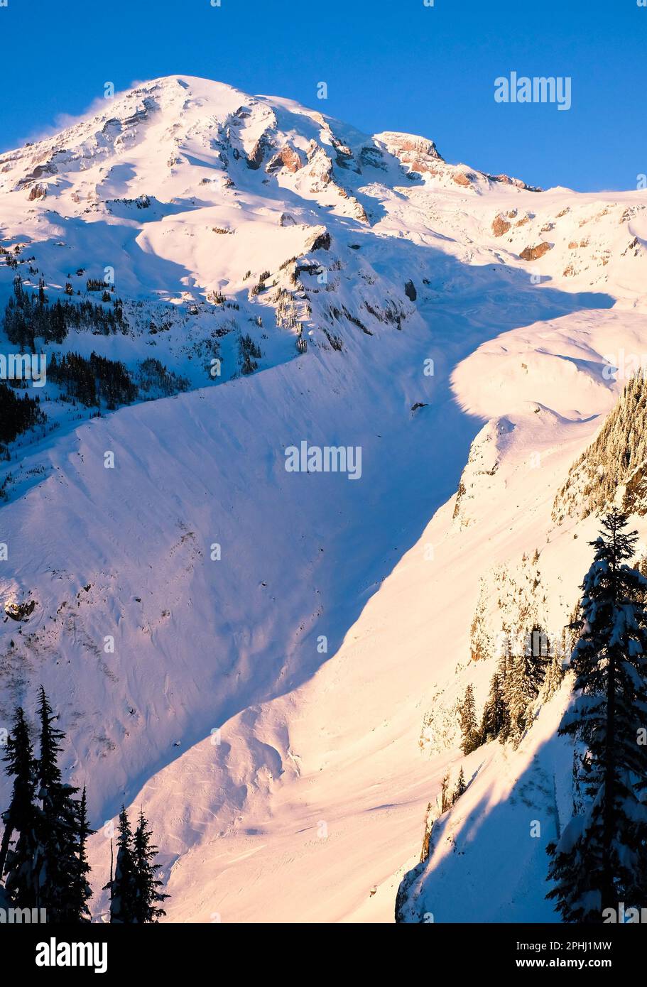 Sunset Illuminates the High and Snowy Peak of Mt Rainier. Nisqually ...