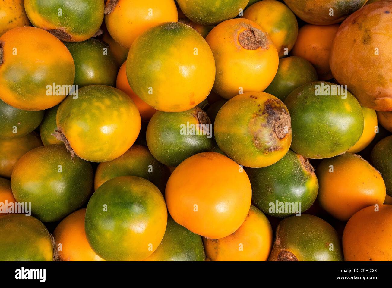 Solanum quitoense - Naranjilla tropical fruit in Colombian market ...