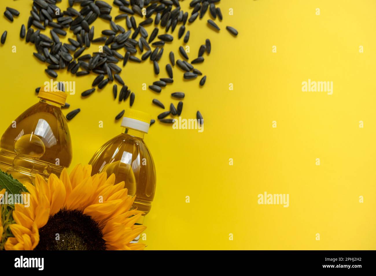 Oil bottles, black sunflower seeds and sunflowers blooming on a yellow ...