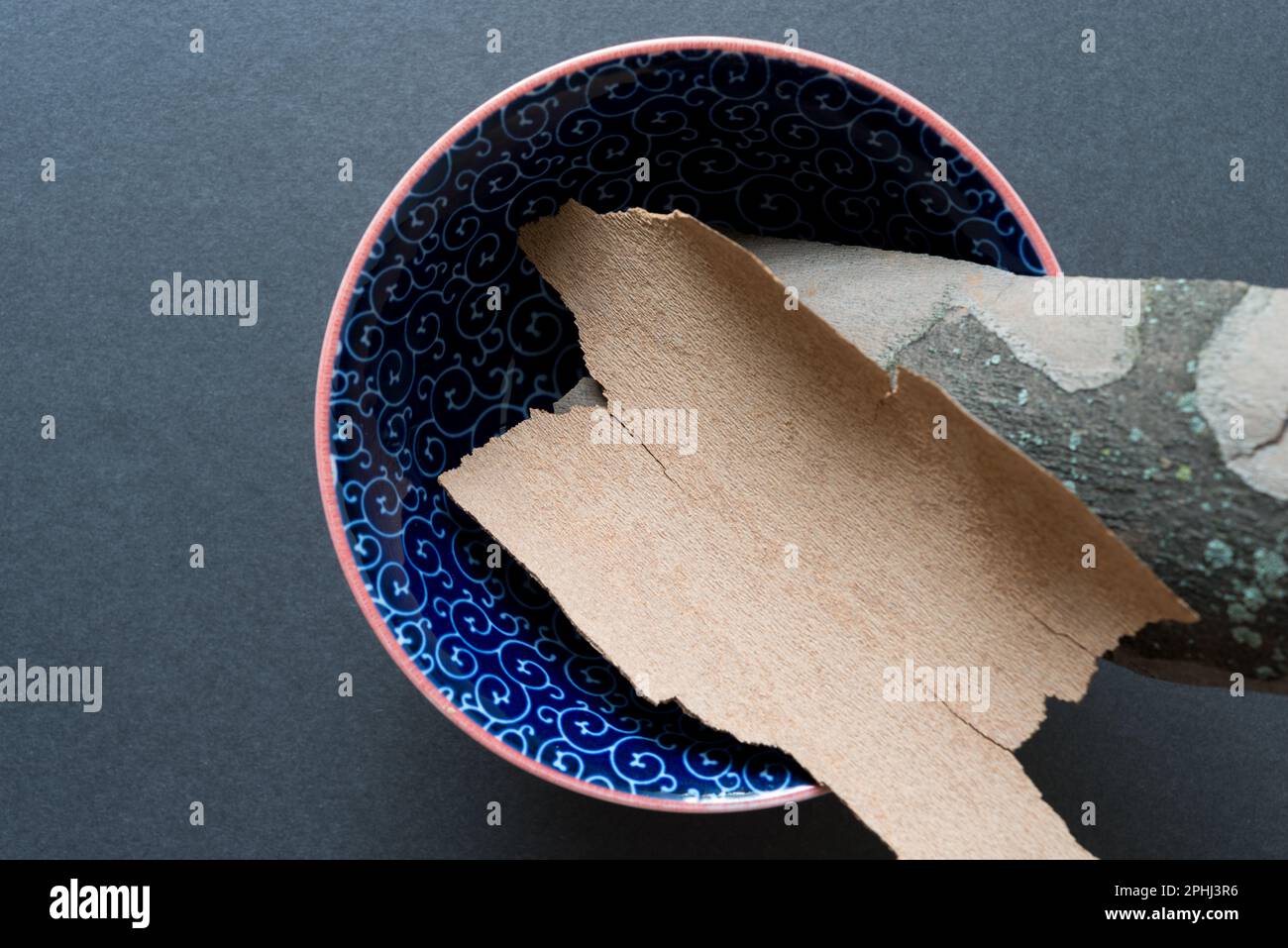tree bark in a decorative bowl - London plane - (Platanus x hispanica ...