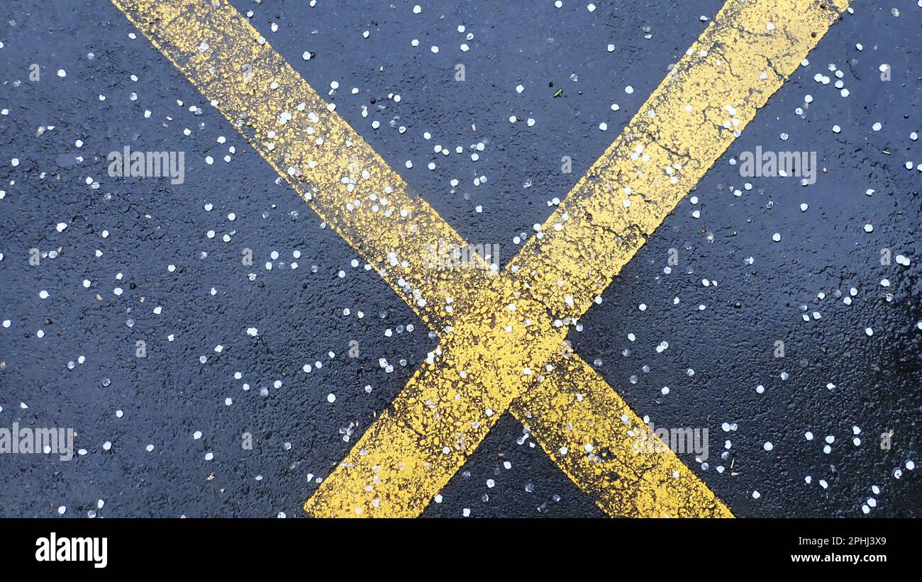 Small white blossoms on a yellow painted cross on asphalt, in car park ...