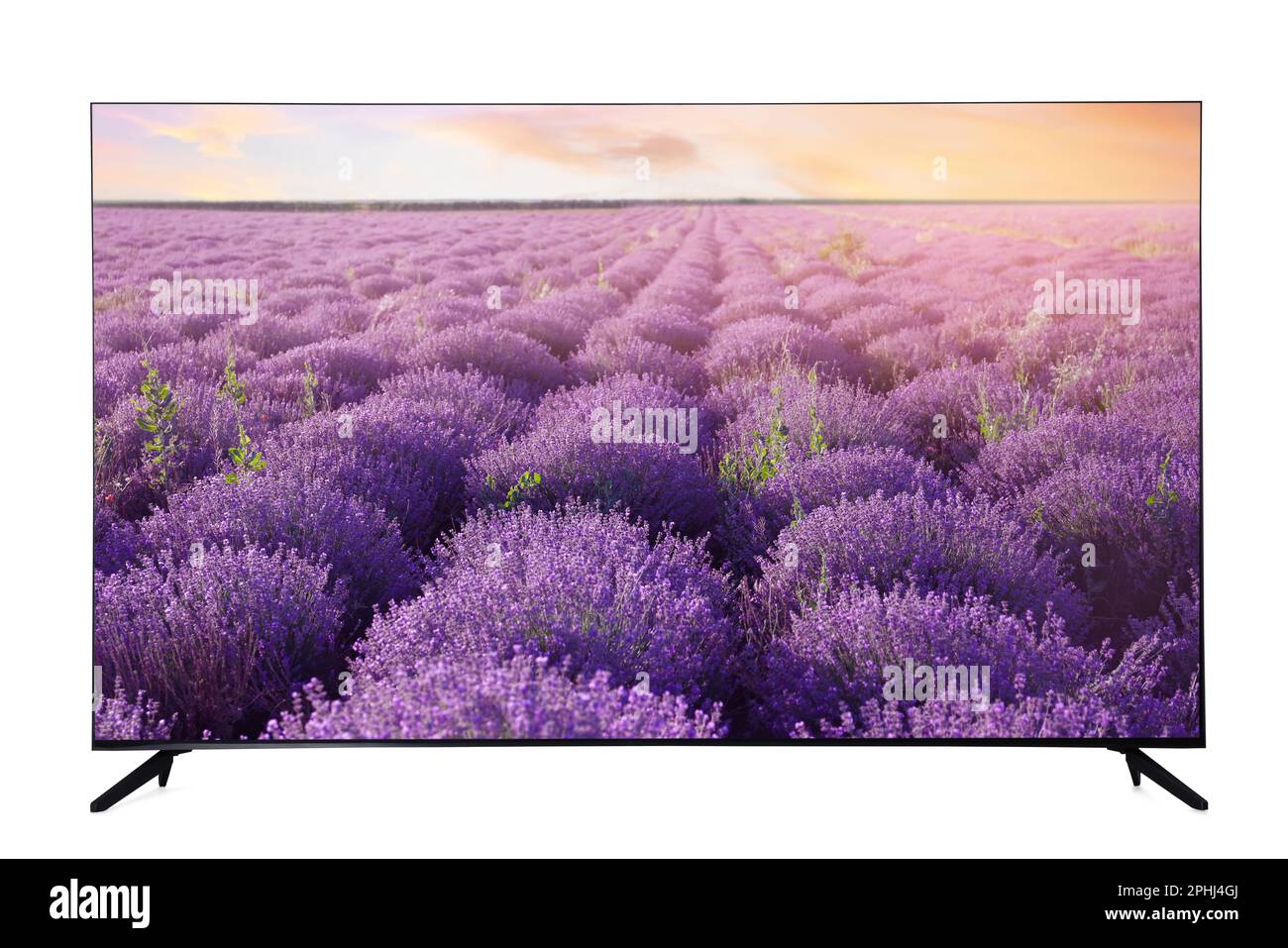 Modern wide screen TV monitor showing beautiful lavender field isolated ...