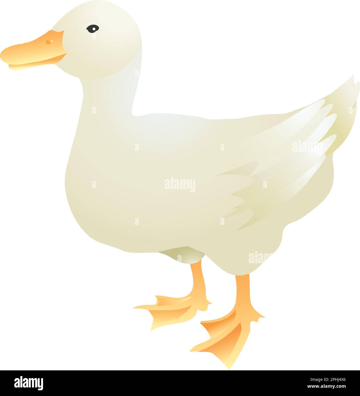 Kamo Stock Vector Images - Alamy