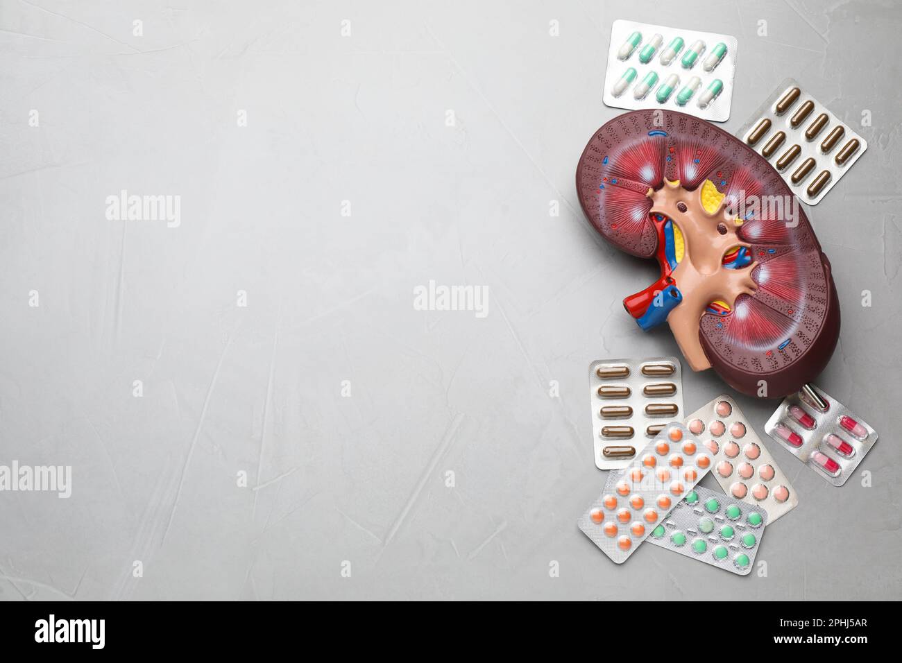 Kidney model and pills on grey table, flat lay. Space for text Stock ...