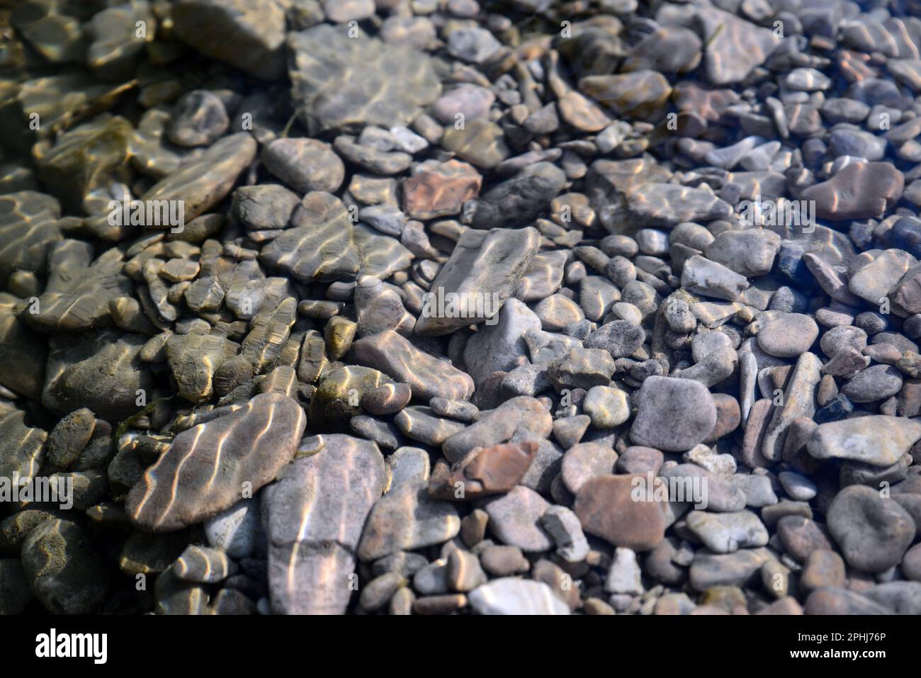Stones and pebbles on bottom of river Stock Photo - Alamy