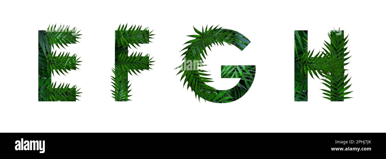Letters E, F, G, H decorated with floral pattern on white background ...