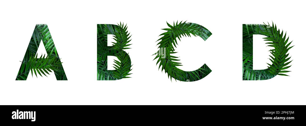 Letters A, B, C, D decorated with floral pattern on white background ...