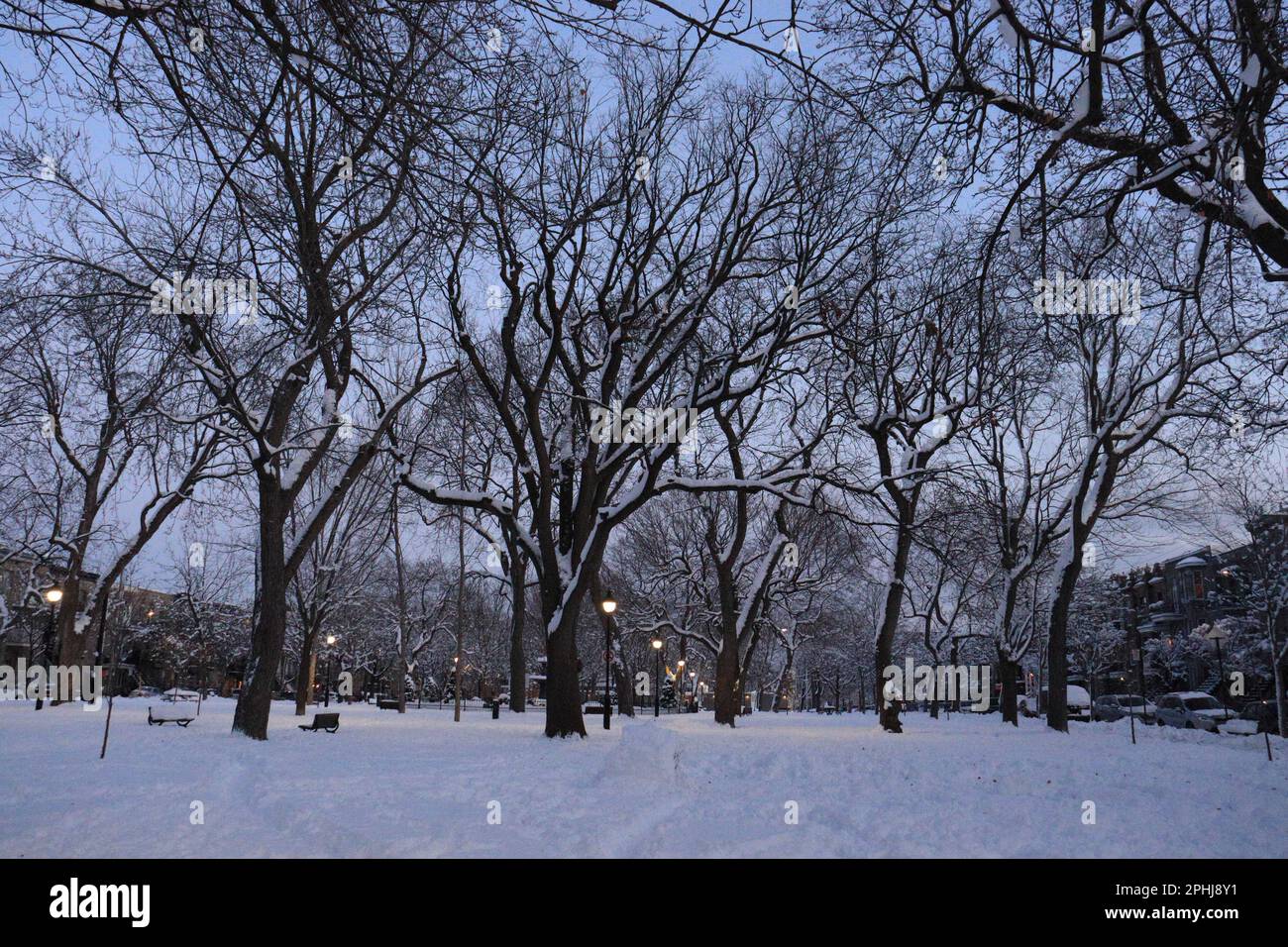 Urban St-Henri Montreal urban Parc snow covered december 2022 Stock ...