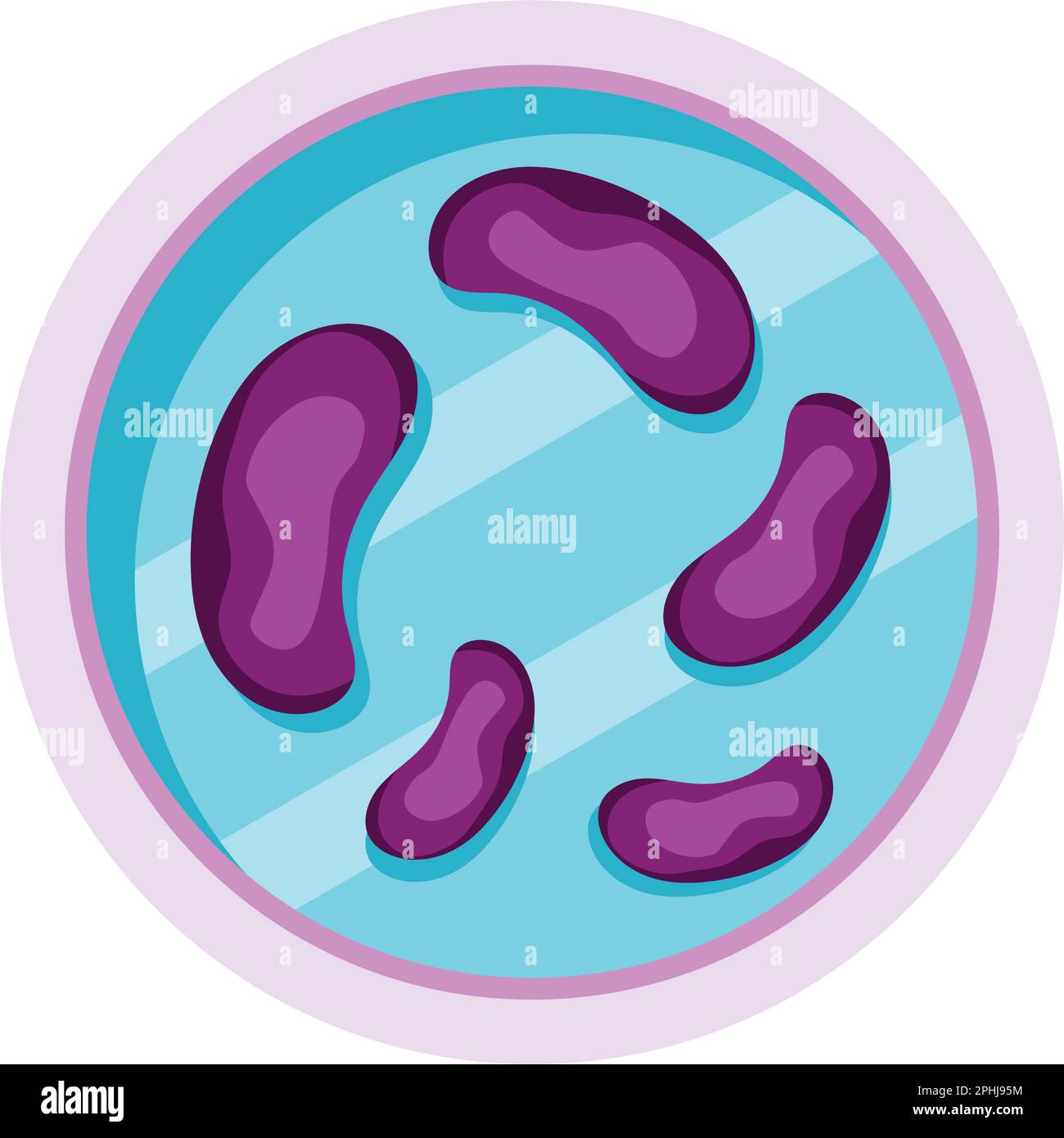 biology icon of bacteria Stock Vector Image & Art - Alamy