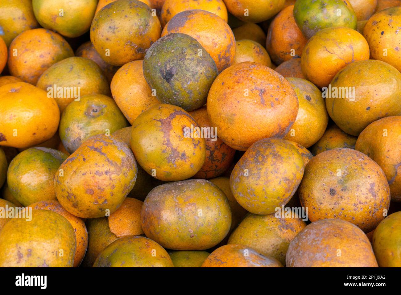 Pile delicious raw ripe hi-res stock photography and images - Alamy