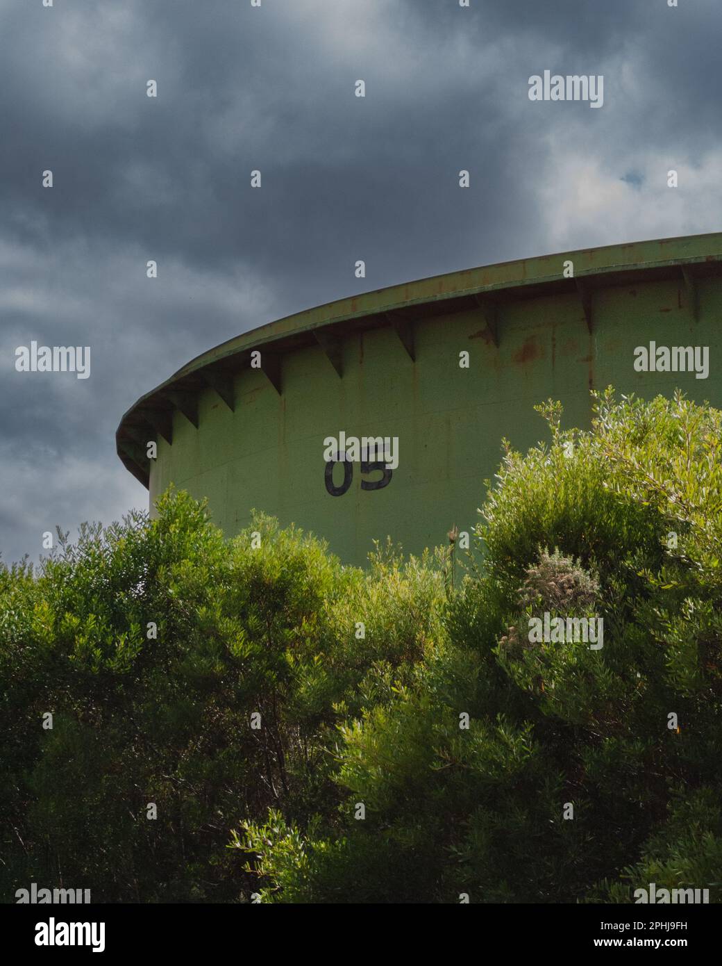 Green Oil Container caught in between the trees Stock Photo - Alamy