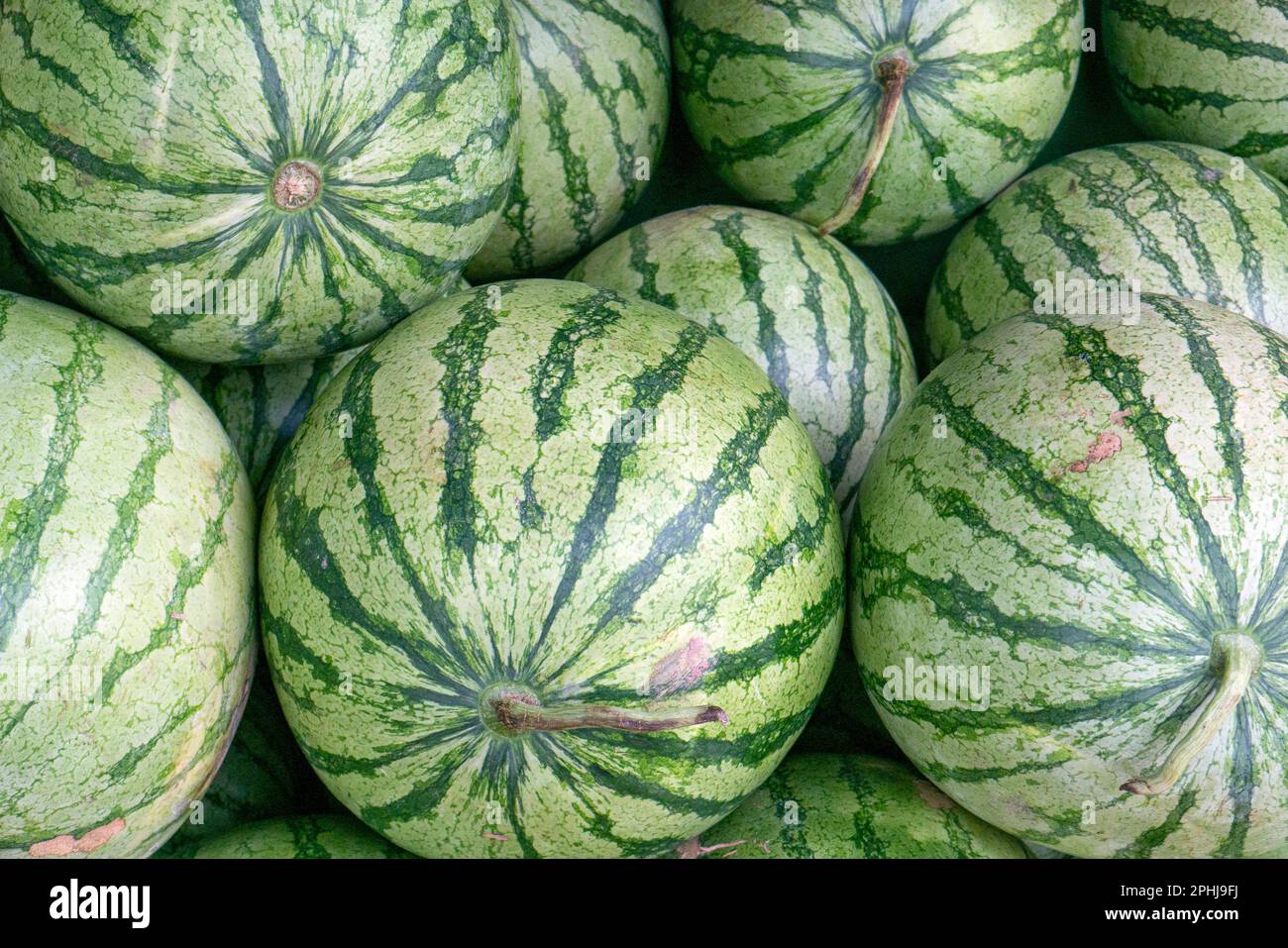 Watermelons grocery store hi-res stock photography and images - Alamy