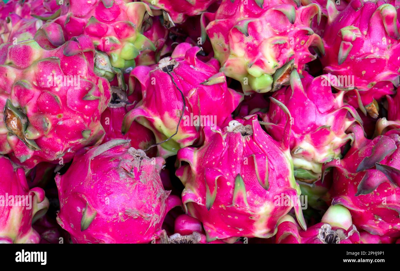 Red Pitaya fruits, dragon fruit, the fruit of several different cactus ...