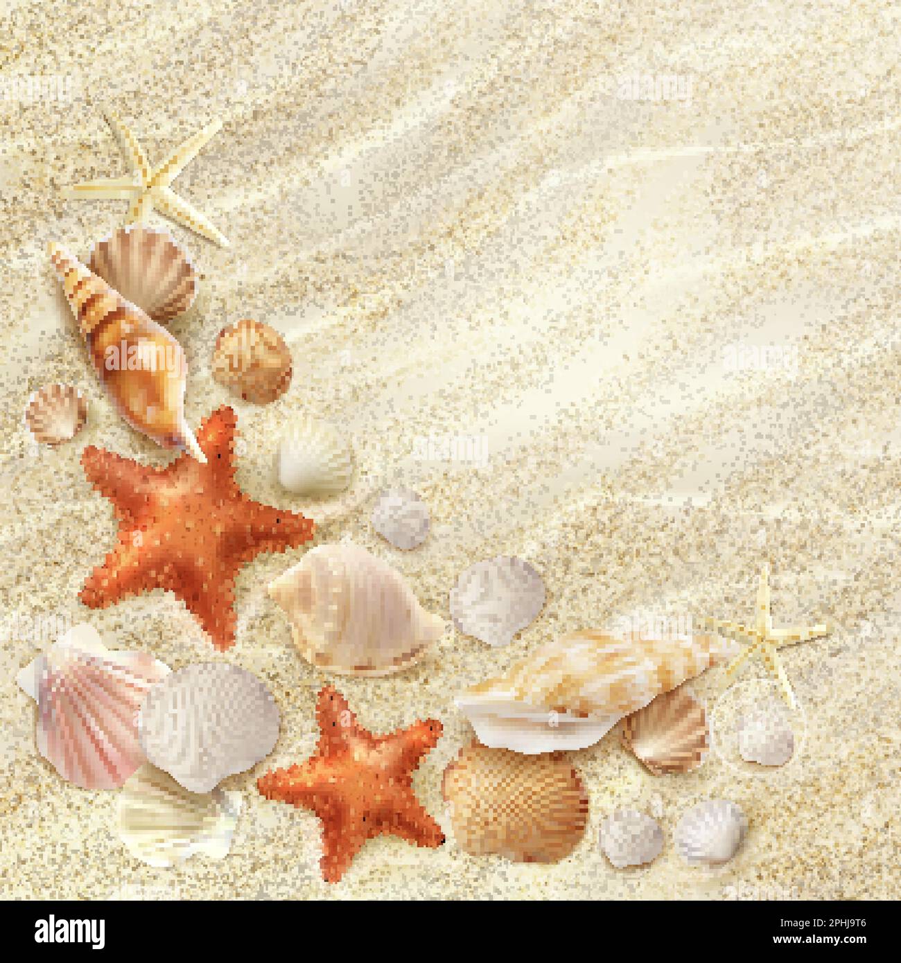 Realistic beach seaside top view. Seashells and starfish on sand ...
