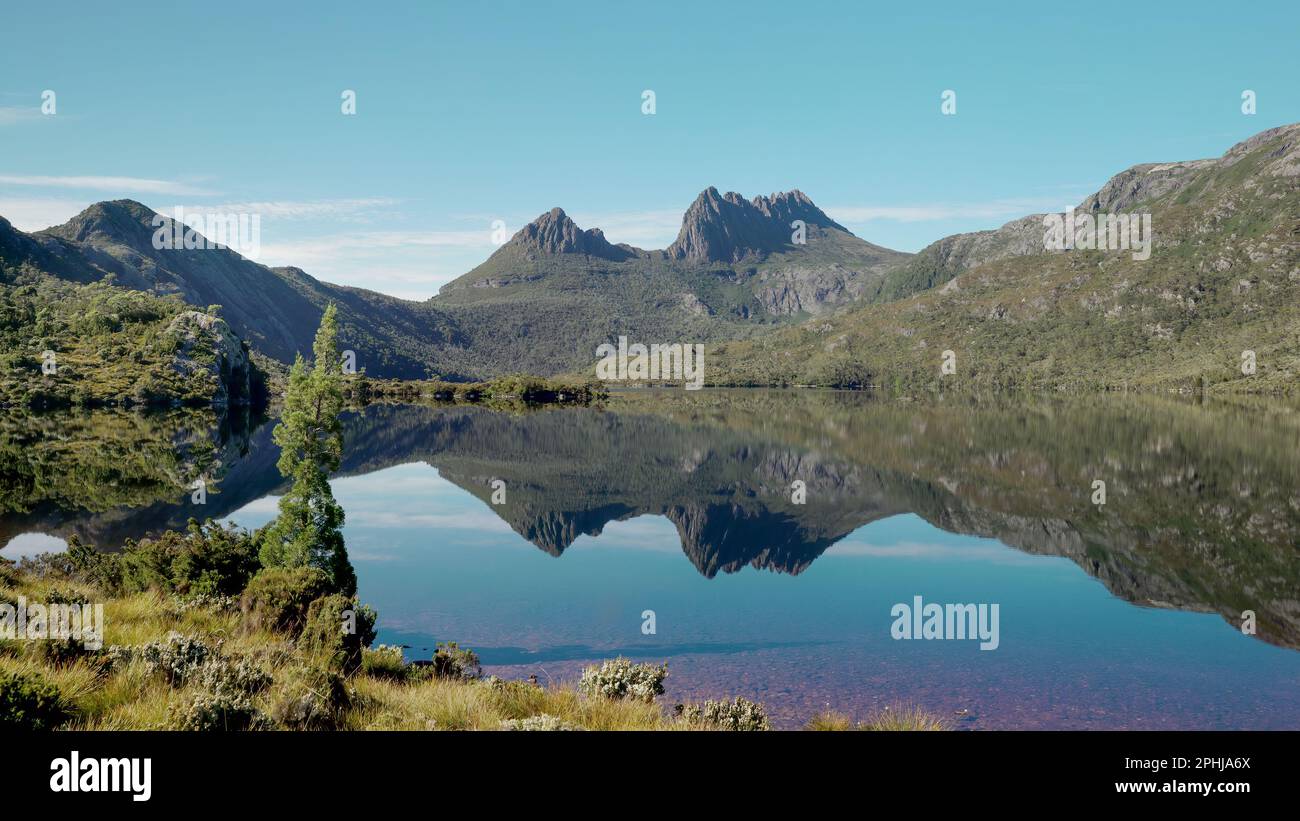 wide angle shot of a mirror calm dove lake with cradle mountain in the ...