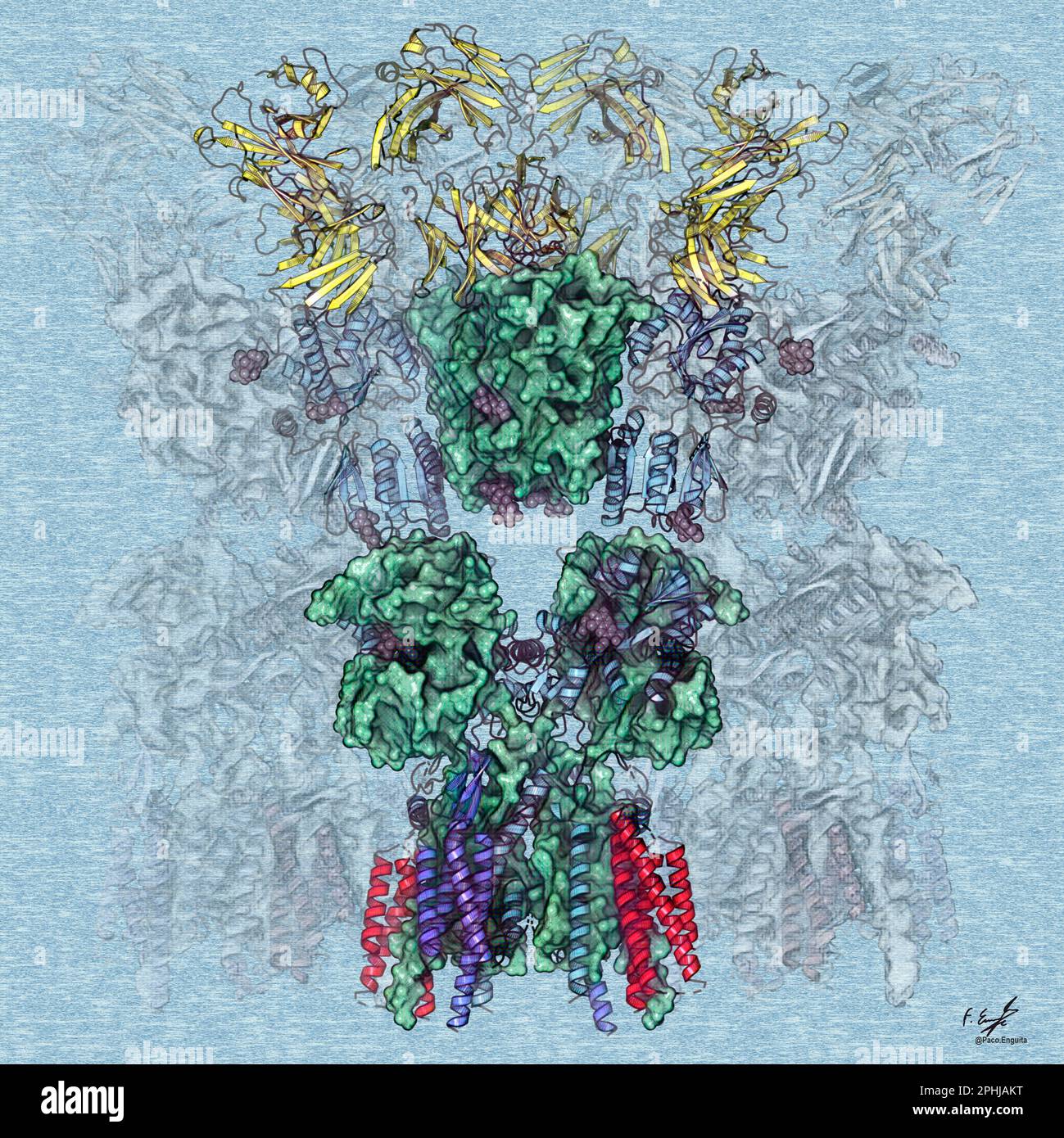 AMPA receptor, illustration Stock Photo - Alamy