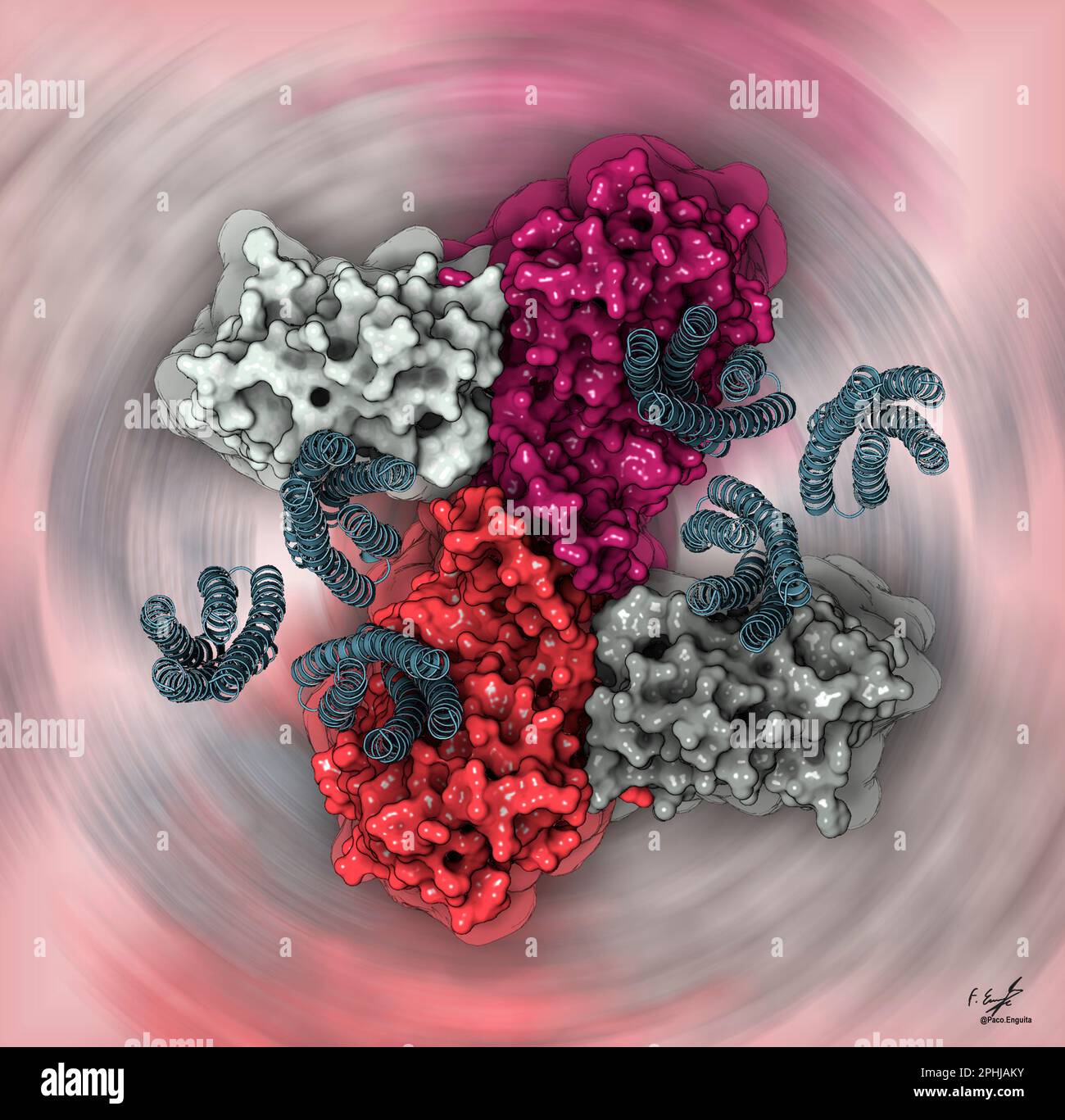E. coli chemotaxis core signalling unit, illustration Stock Photo - Alamy
