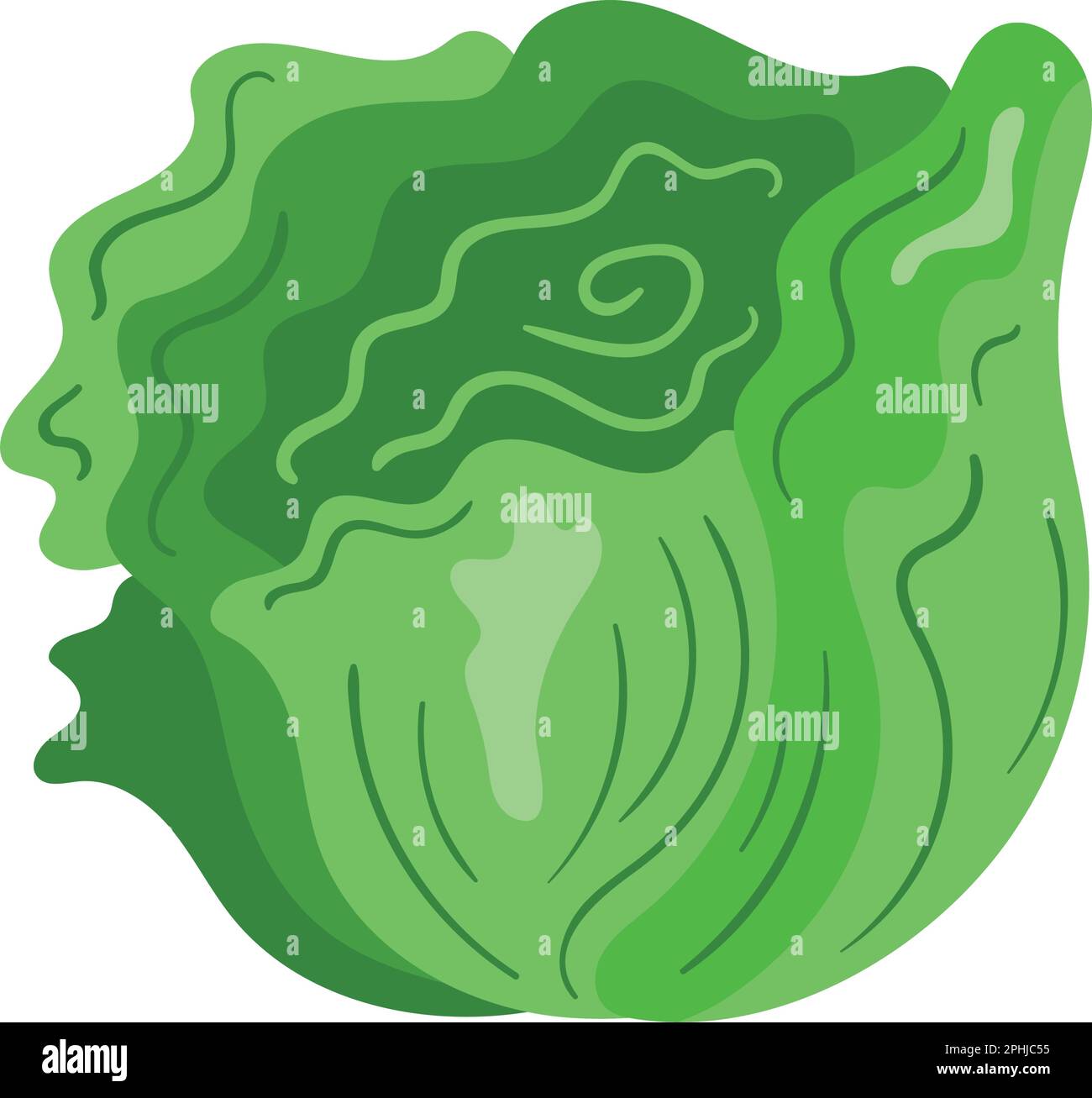 organic vegetable lettuce Stock Vector Image & Art - Alamy